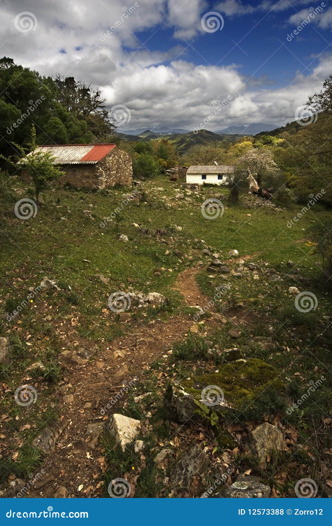 Rural Way stock photo. Image of hiking, field, prairie - 12573388