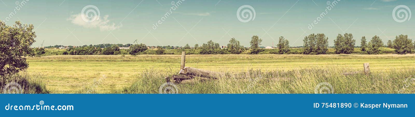 Rural Western Landscape in the Summer Stock Photo - Image of meadow ...