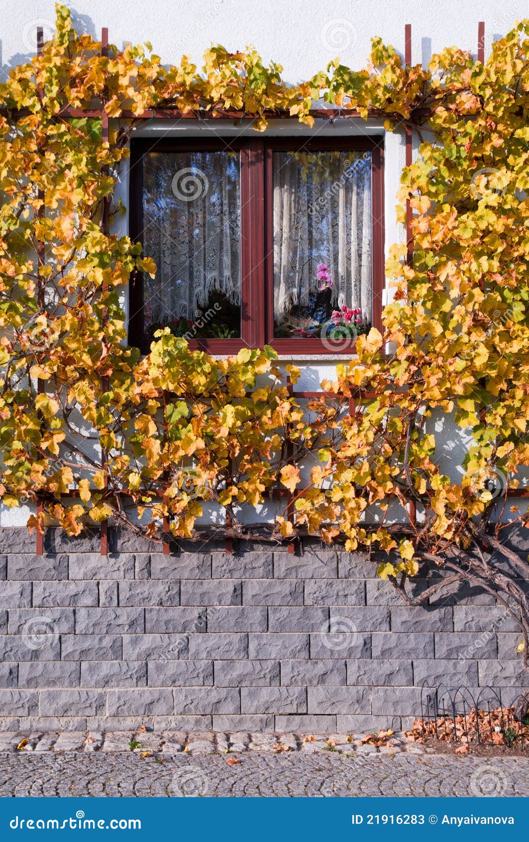 Rural window in Autumn stock image. Image of house, rural - 21916283