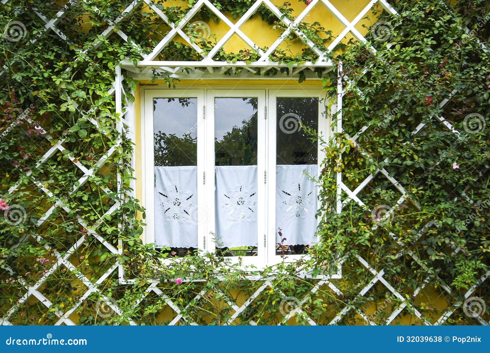 Rural Window Framed by Tree Stock Photo - Image of growth, countryside ...