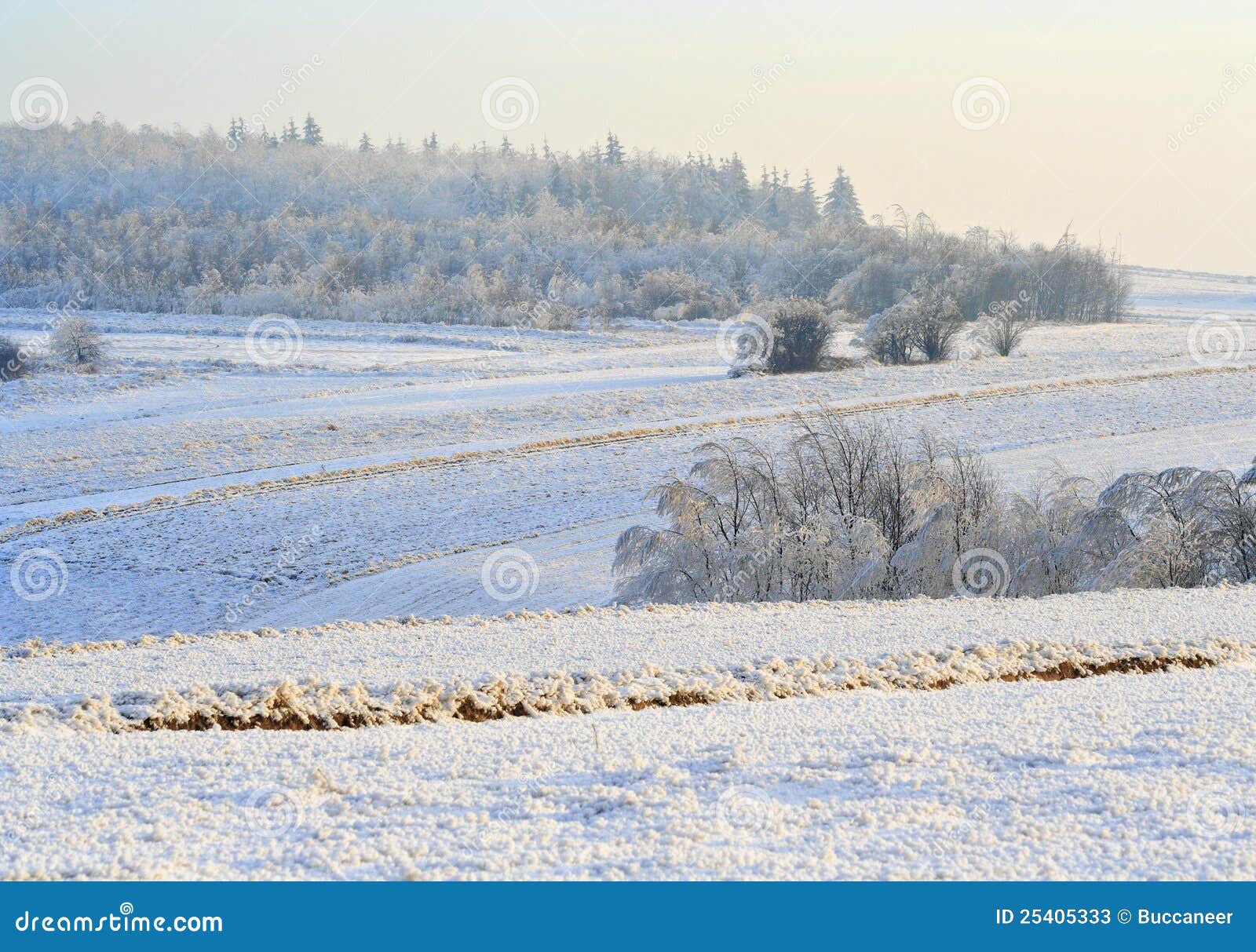 Rural winter landscape stock image. Image of snow, cold - 25405333