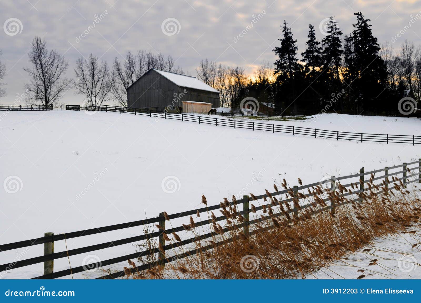 Rural winter landscape stock image. Image of barn, trees - 3912203