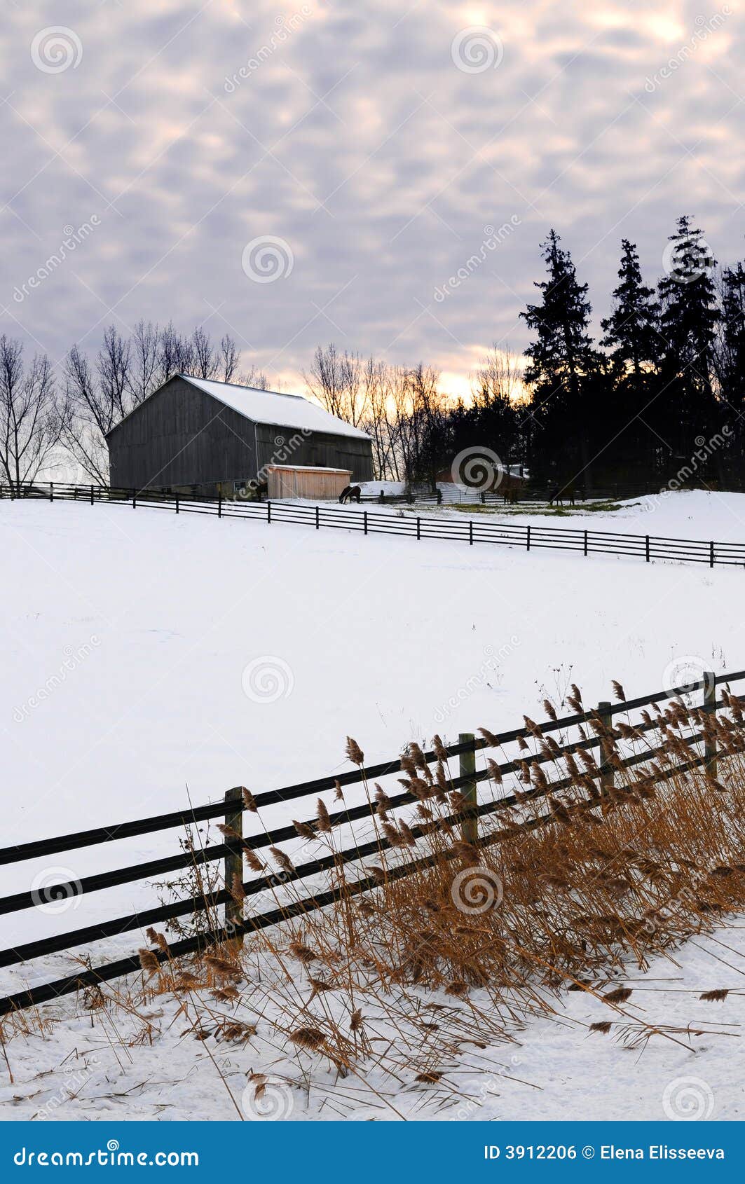 Rural winter landscape stock photo. Image of cold, field - 3912206