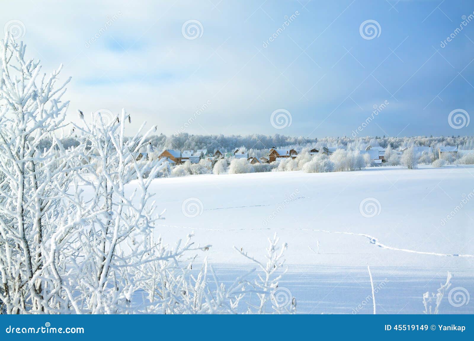 Rural Winter Landscape with the Village and the Forest Stock Image ...