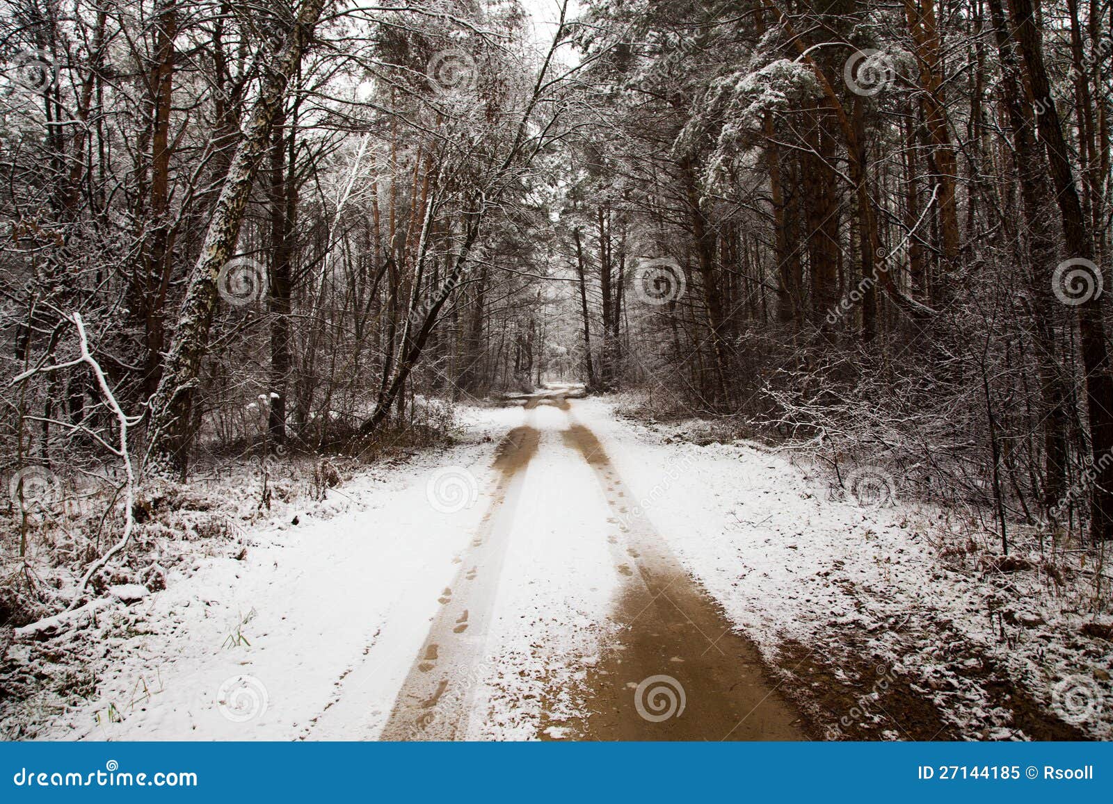 The rural winter road stock image. Image of road, frozen - 27144185