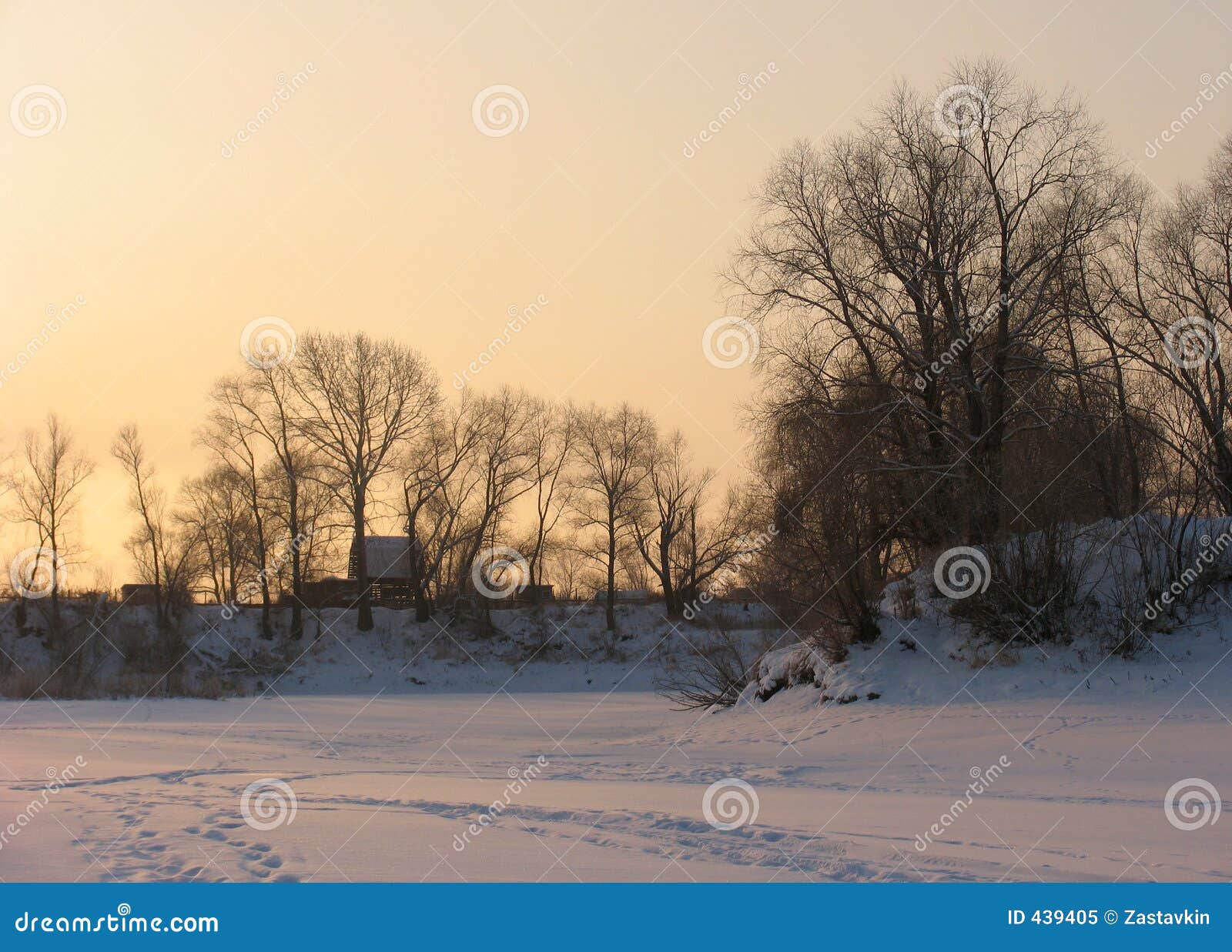 Rural Winter Scene stock image. Image of populus, season - 439405