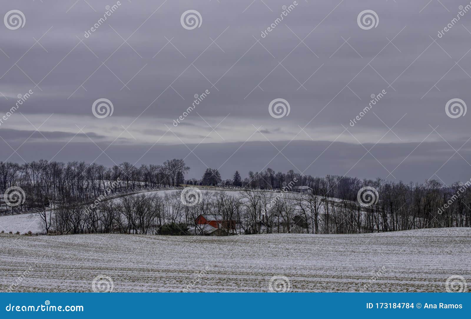 Rural winter scene stock photo. Image of leaves, farm - 173184784