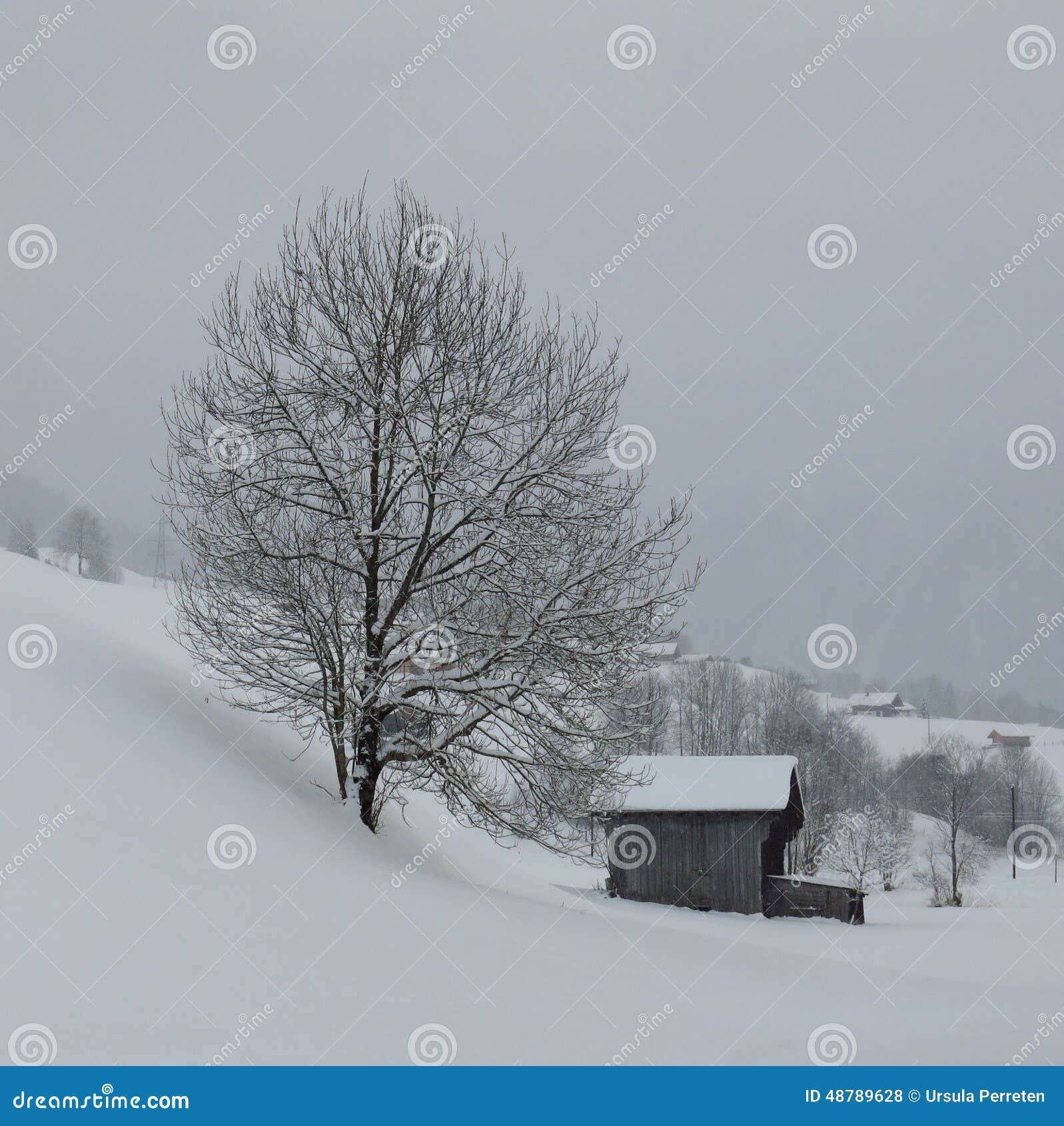 Rural Winter Scene in the Swiss Alps Stock Photo - Image of forest ...