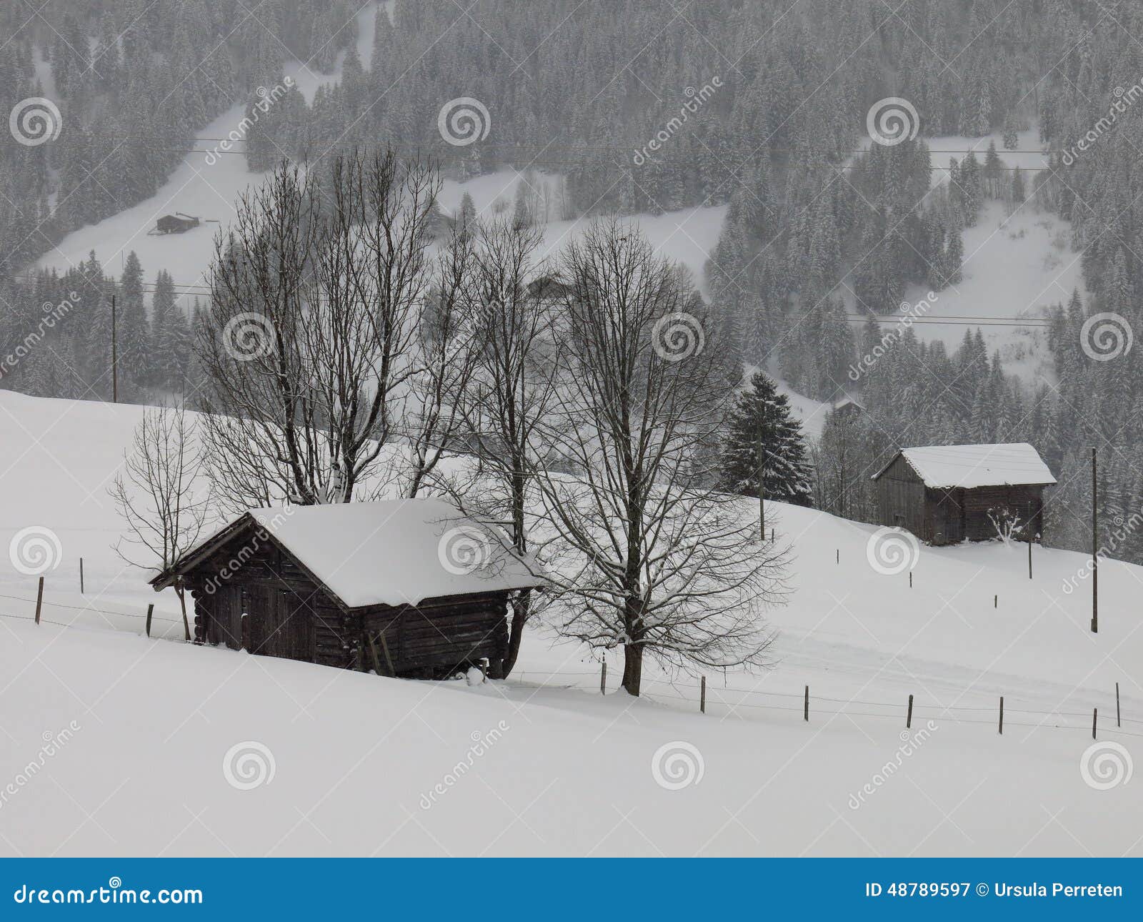 Rural Winter Barn Scene Stock Images - Download 1,310 Royalty Free ...