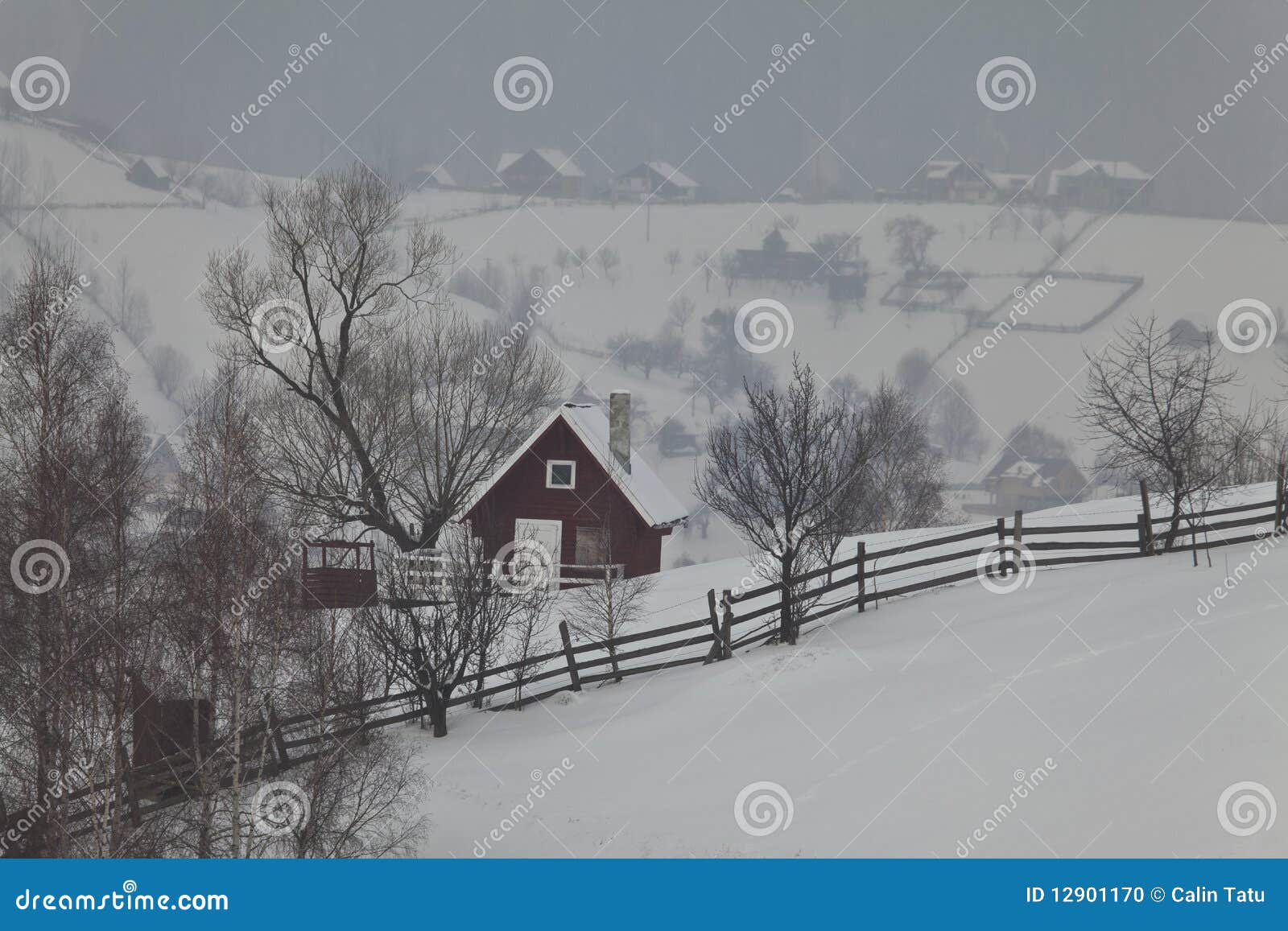Rural winter scenery stock photo. Image of rural, polar - 12901170