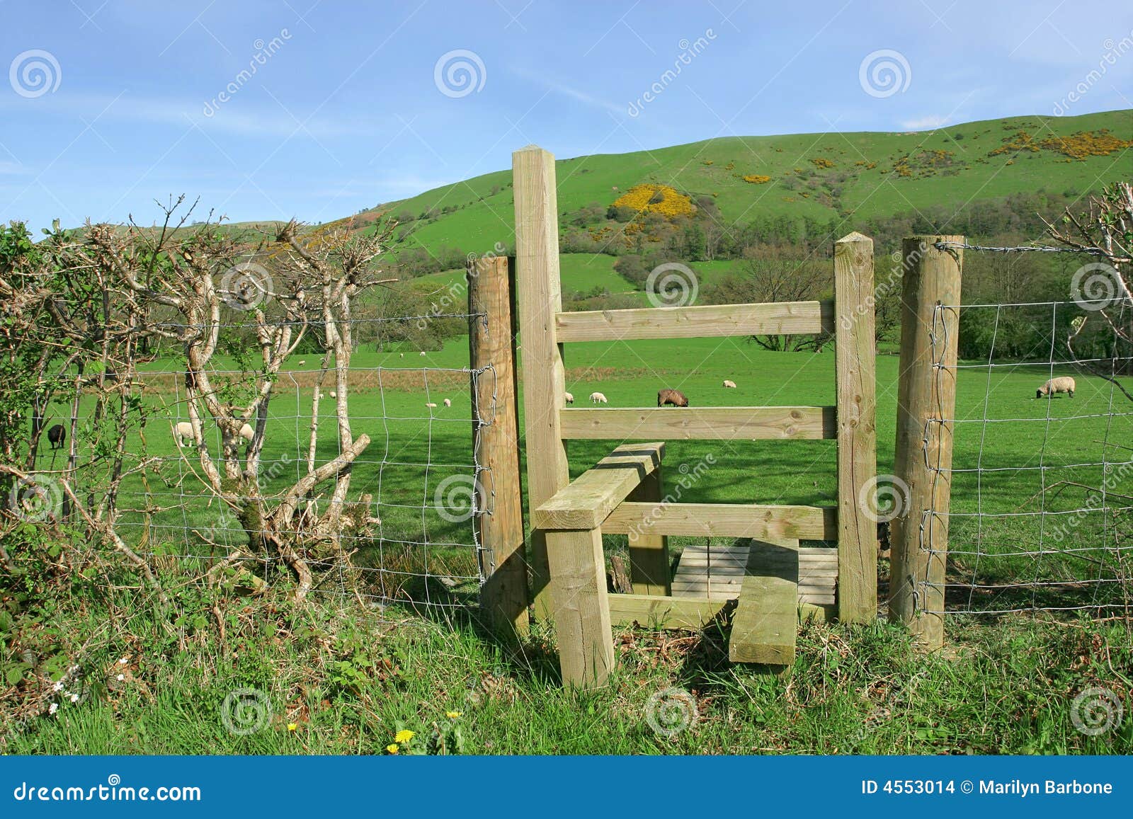 Rural Wooden Stile stock photo. Image of hill, fencing - 4553014