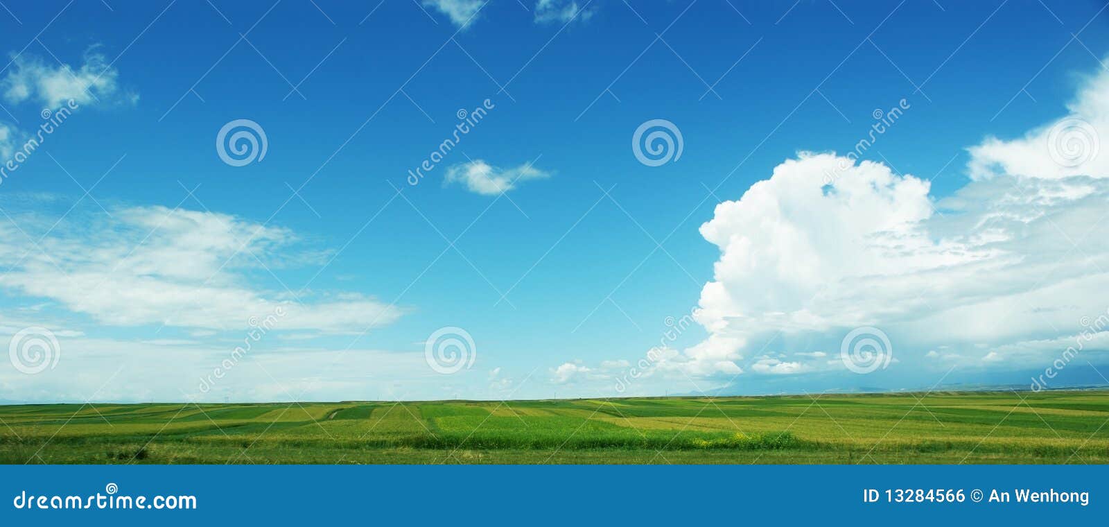Rurality stock photo. Image of wheat, fields, clouds - 13284566
