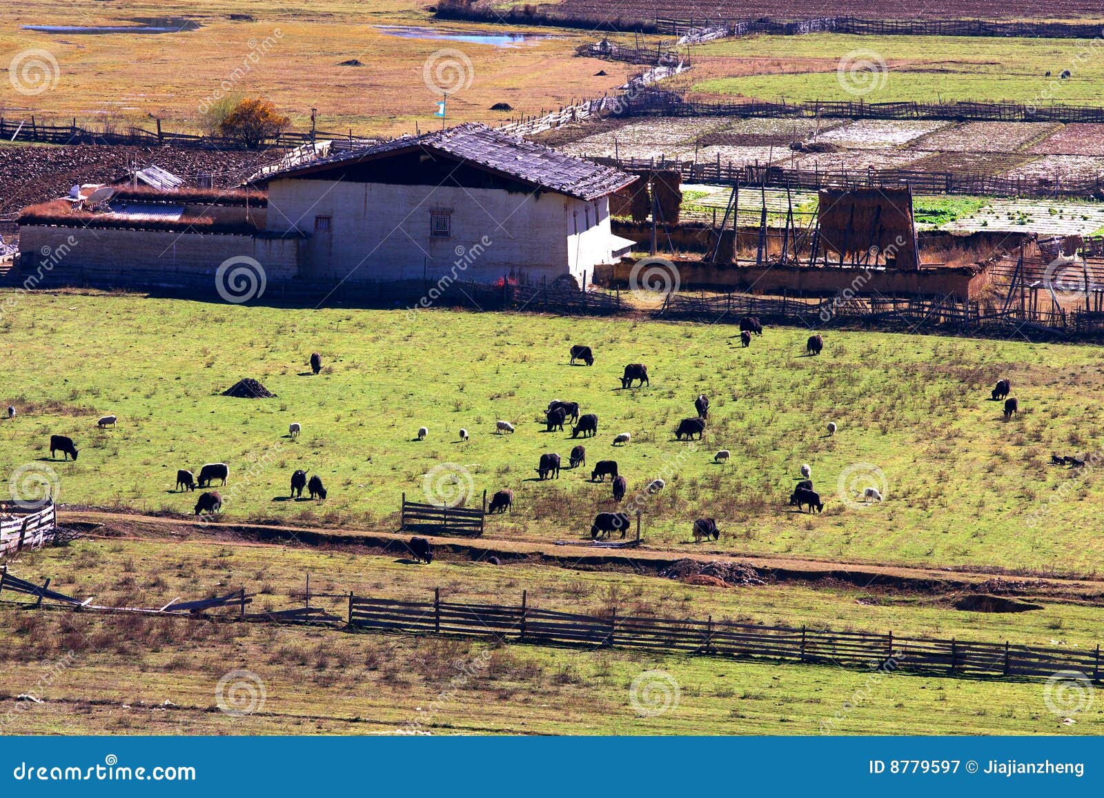 Rurality stock image. Image of house, grassland, china - 8779597