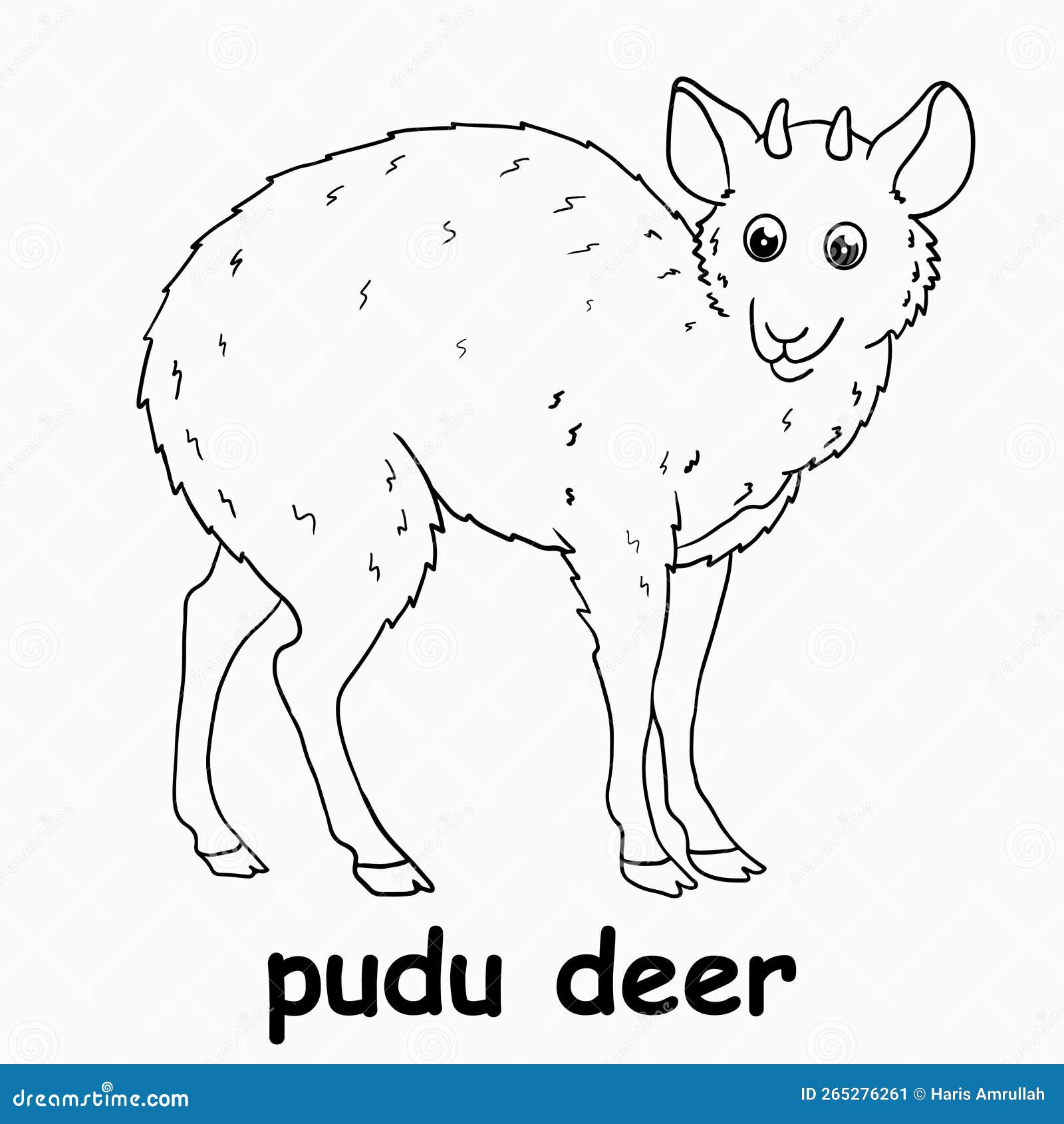 Kids Line Illustration Coloring Pudu Deer. Outline Vector for Children ...