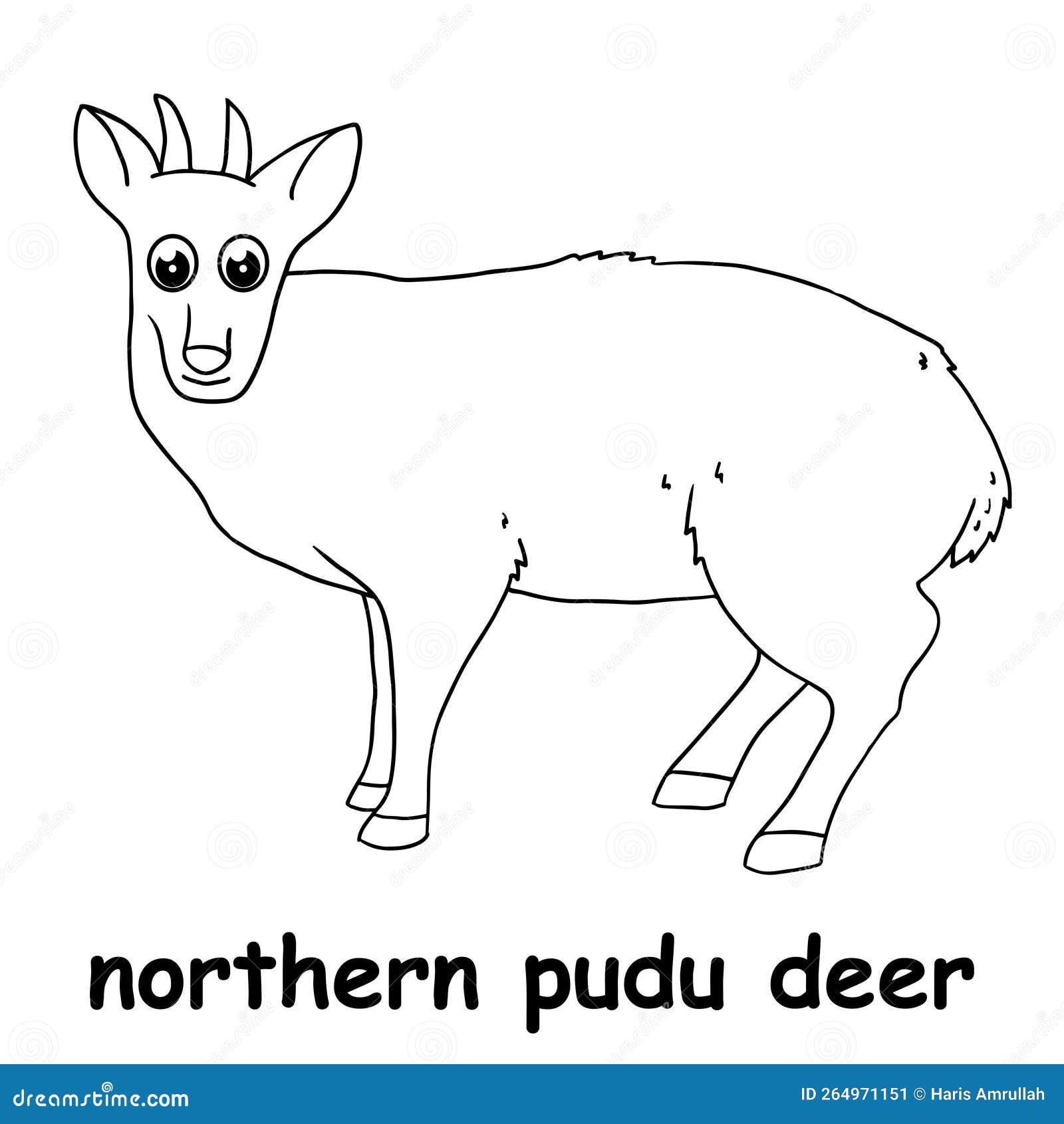 Kids Line Illustration Coloring Northern Pudu Deer. Outline Vector for ...