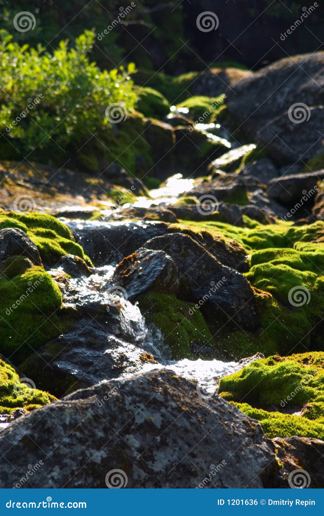 Ruscello della montagna fotografia stock. Immagine di muschio - 1201636