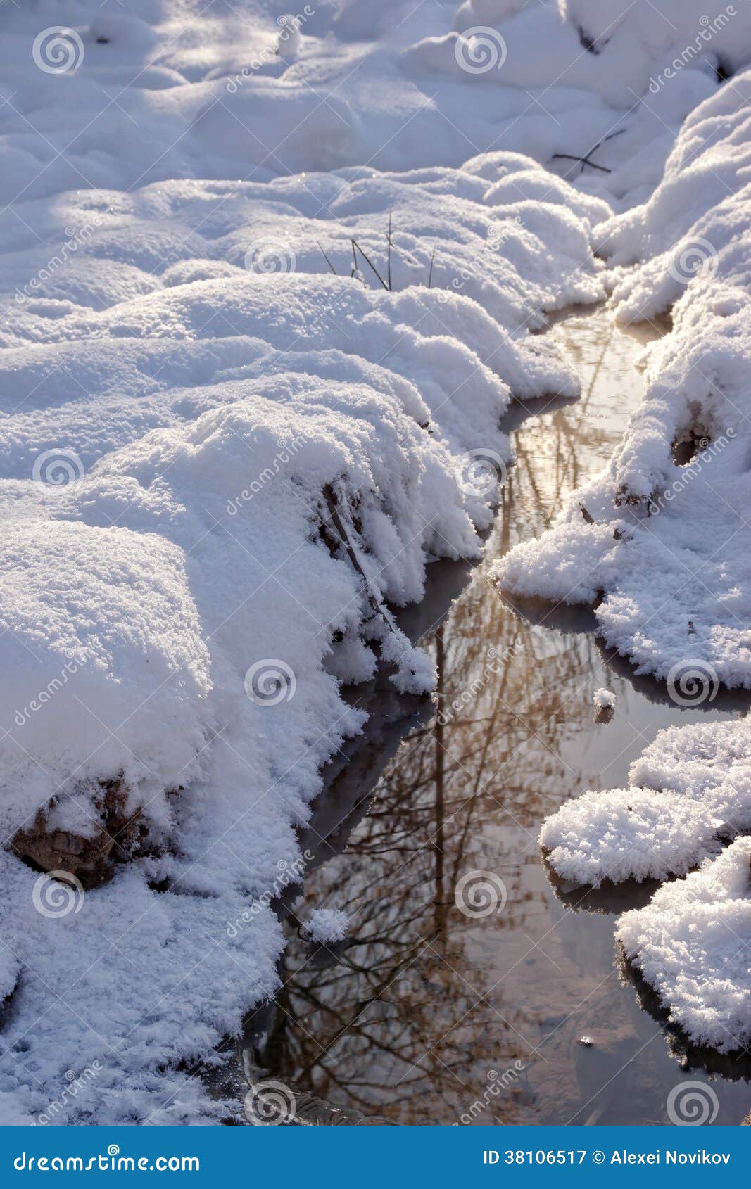 Ruscello della primavera immagine stock. Immagine di selvaggio - 38106517