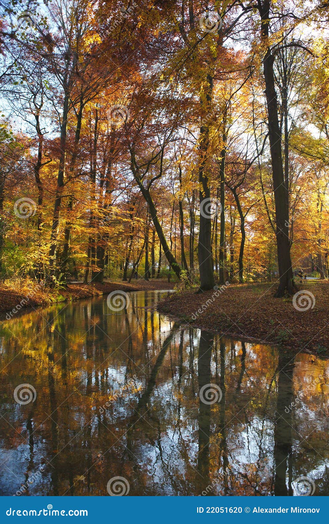 Ruscello di autunno fotografia stock. Immagine di ramoscello - 22051620