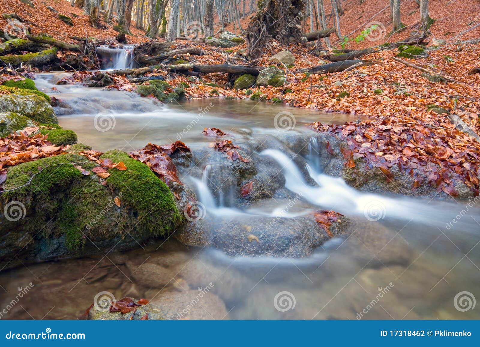 Ruscello Nella Foresta Di Autunno Fotografia Stock - Immagine di pace ...