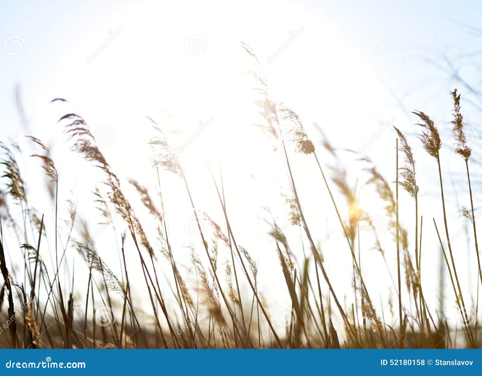 Rush on Defocus with Sun Rays Stock Photo - Image of summeer, rays ...