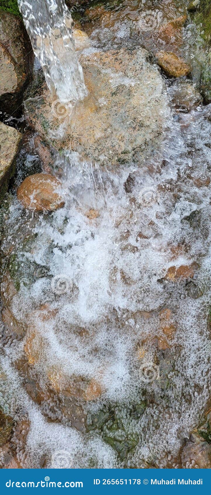 The Rush of Water on the Rocks Stock Photo - Image of rush, leaf: 265651178