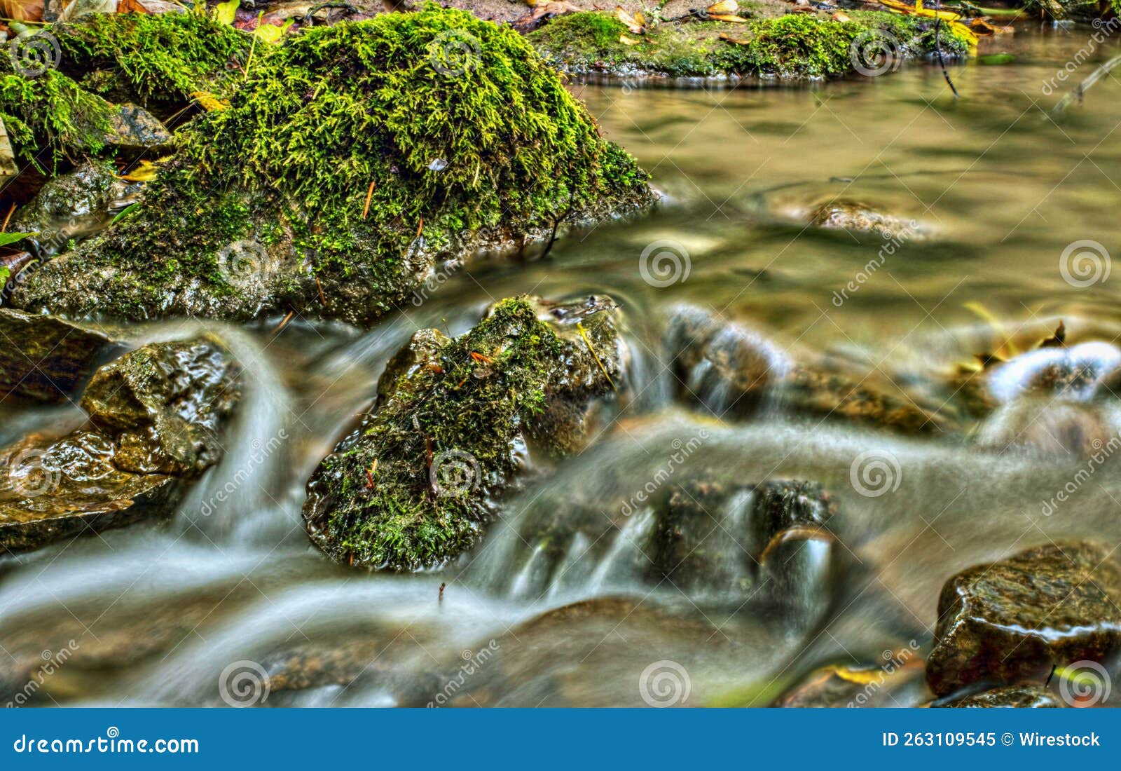Rushing Brook Flowing Over Stones Stock Image - Image of forest, nature ...