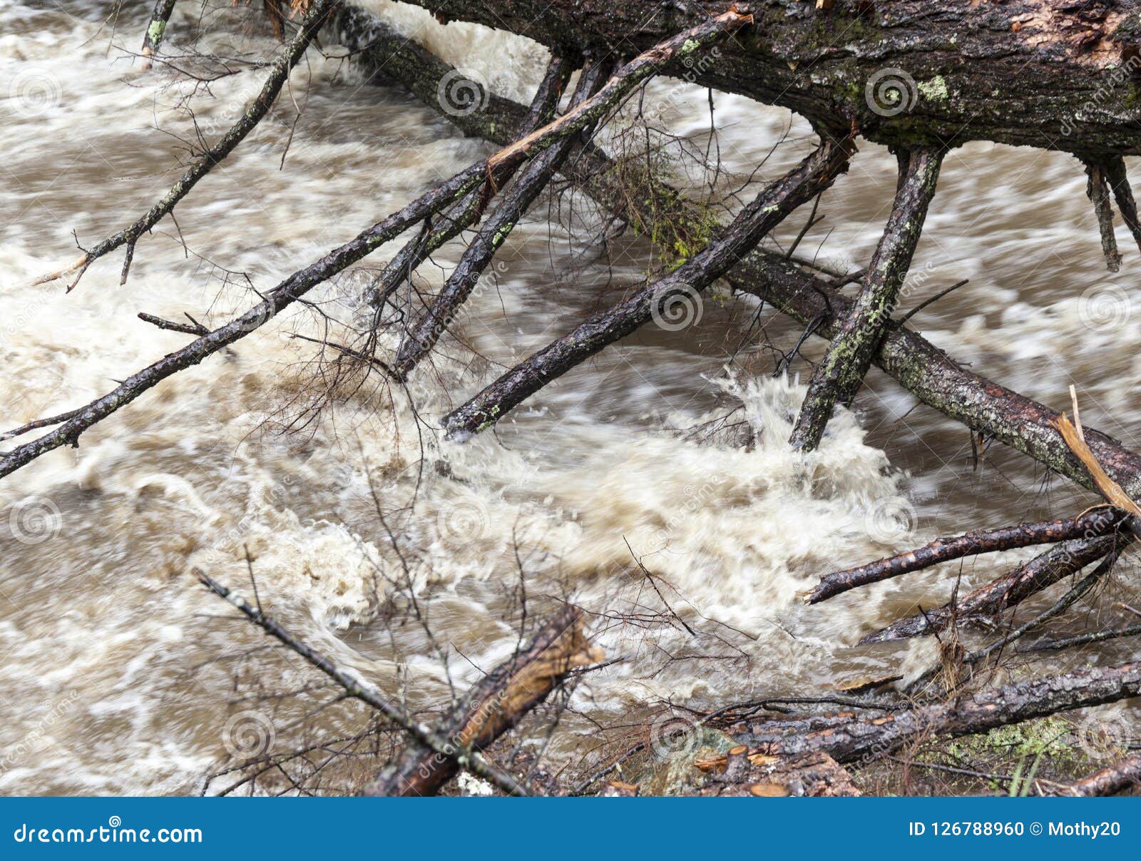 Rushing Water from Flash Flood in Stream Stock Photo - Image of climate ...