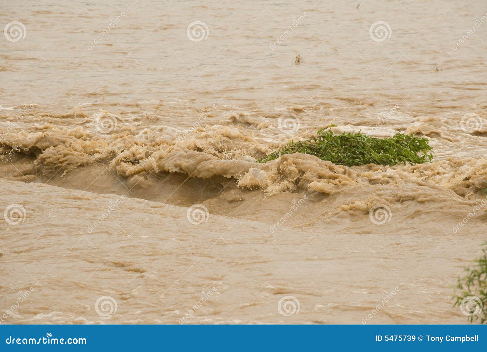 Flood Water Overflows From A Lake During Flooding After Heavy Rain And ...
