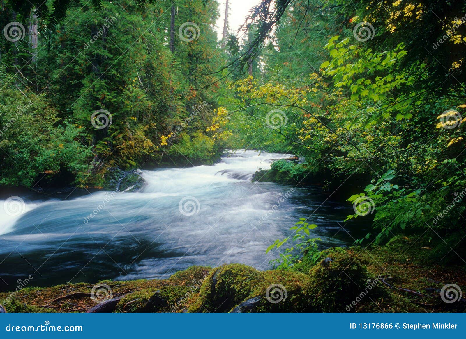 The Mckenzie River In Western Oregon Royalty-Free Stock Photography ...