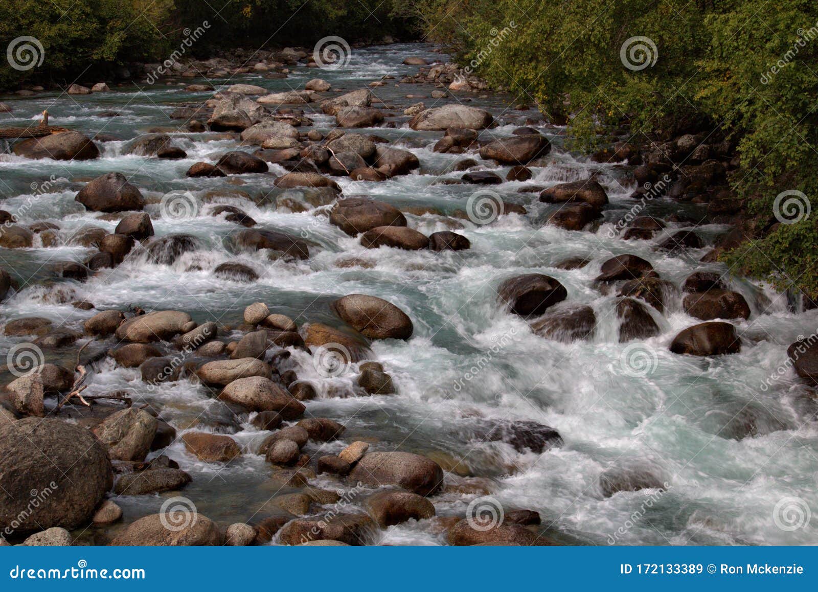 Rushing mountain stream stock image. Image of long, grass - 172133389