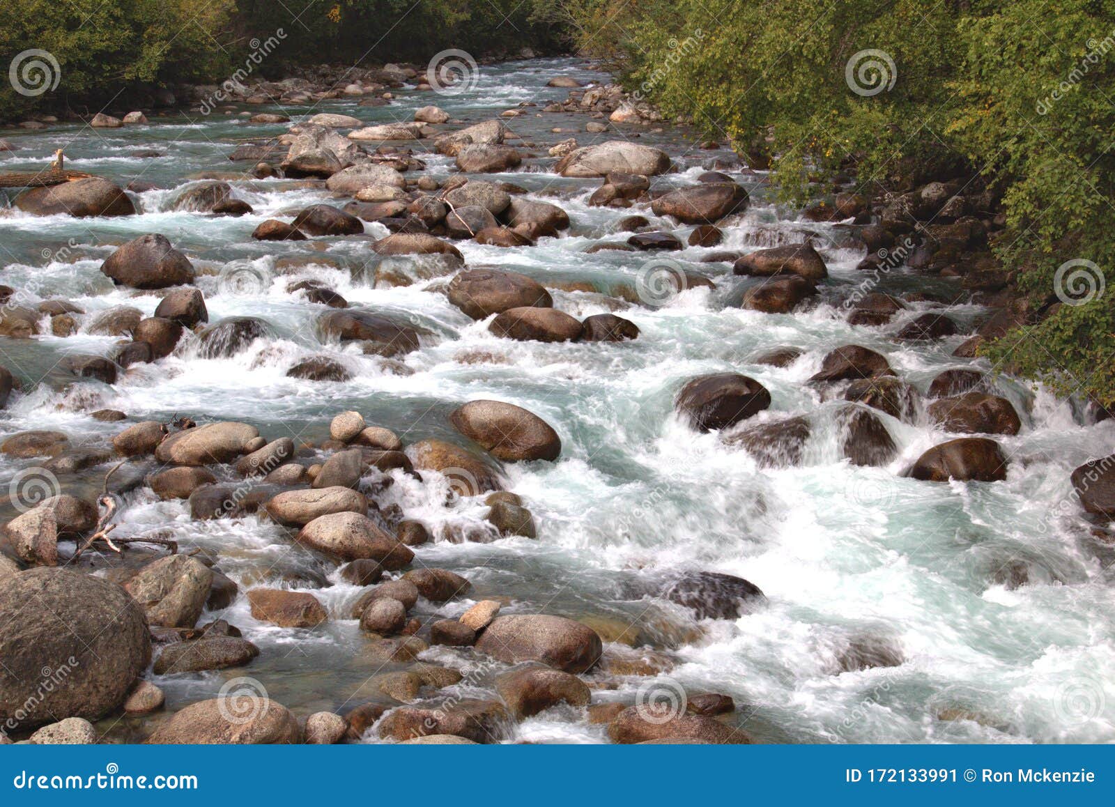 Rushing mountain stream stock image. Image of forest - 172133991