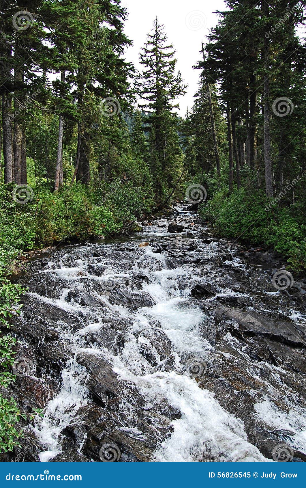 Rushing mountain stream stock image. Image of white, park - 56826545