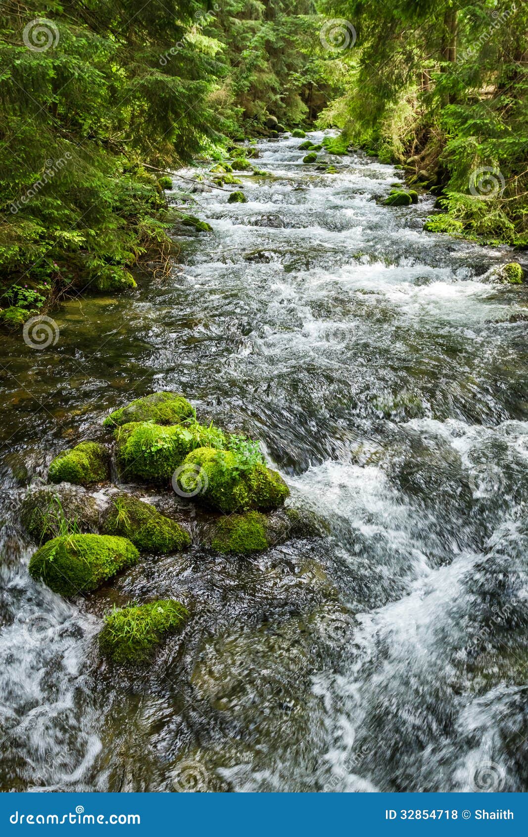 Rushing Mountain Stream in the Forest Stock Photo - Image of lichen ...