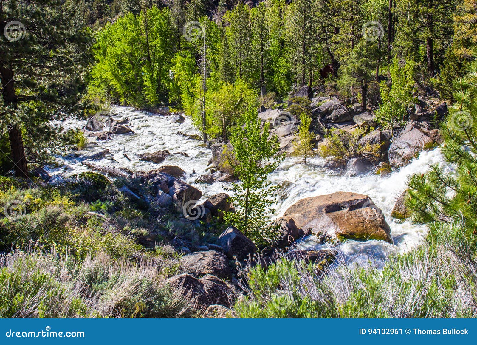 Rushing Rapids in Mountain Stream from Snow Melt Stock Image - Image of ...