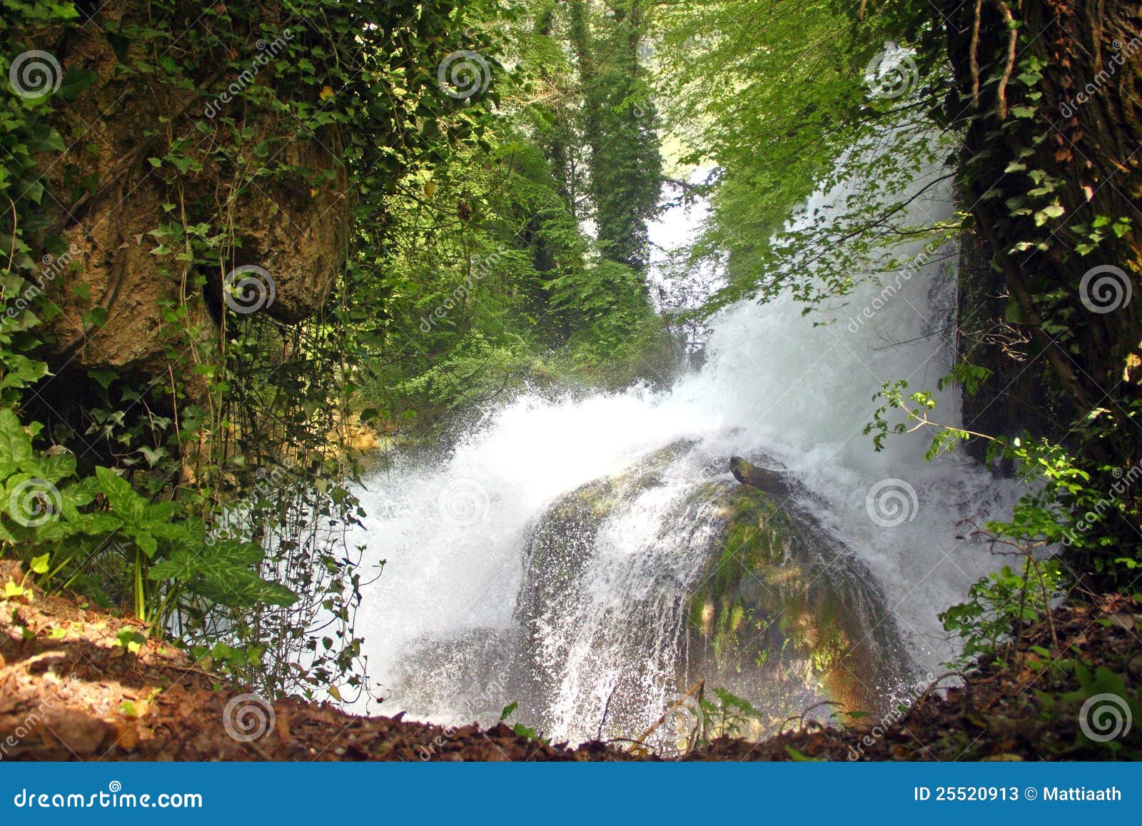 The rushing river stock image. Image of liquid, forest - 25520913