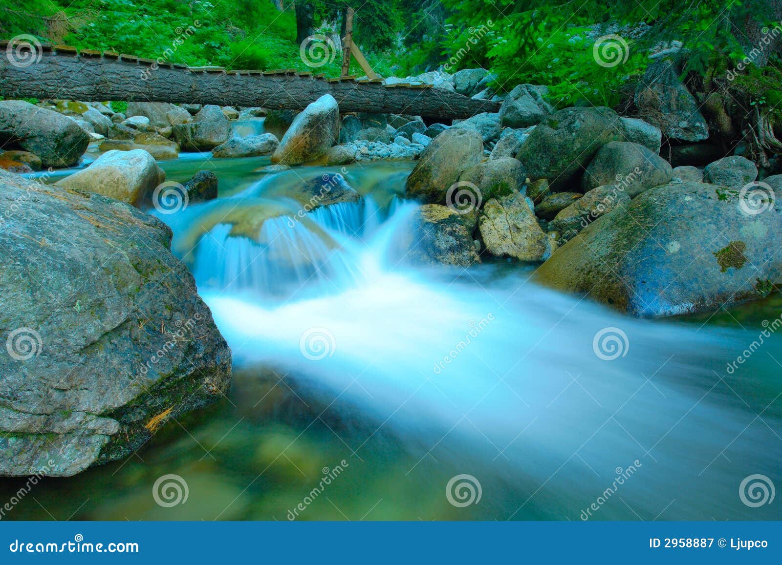 Rushing river stock image. Image of pirin, cascade, environment - 2958887
