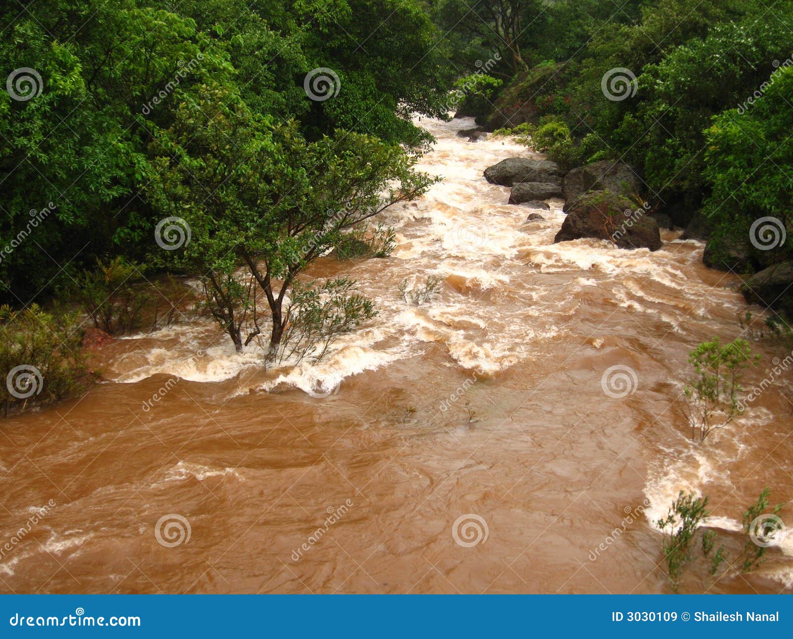 Rushing river stock image. Image of woods, waterway, rush - 3030109