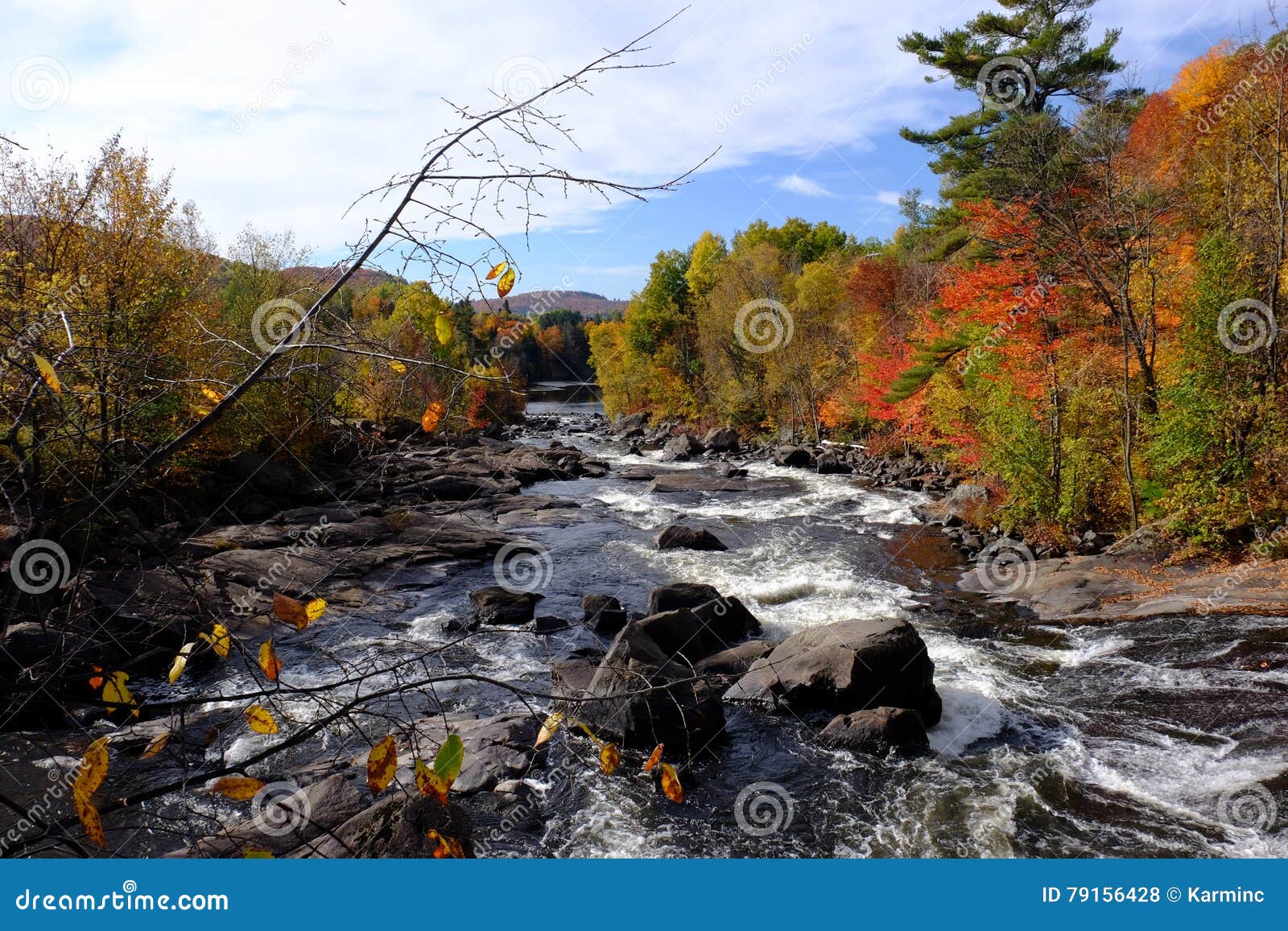 Rushing River through Autumn Forest Stock Photo - Image of canada ...