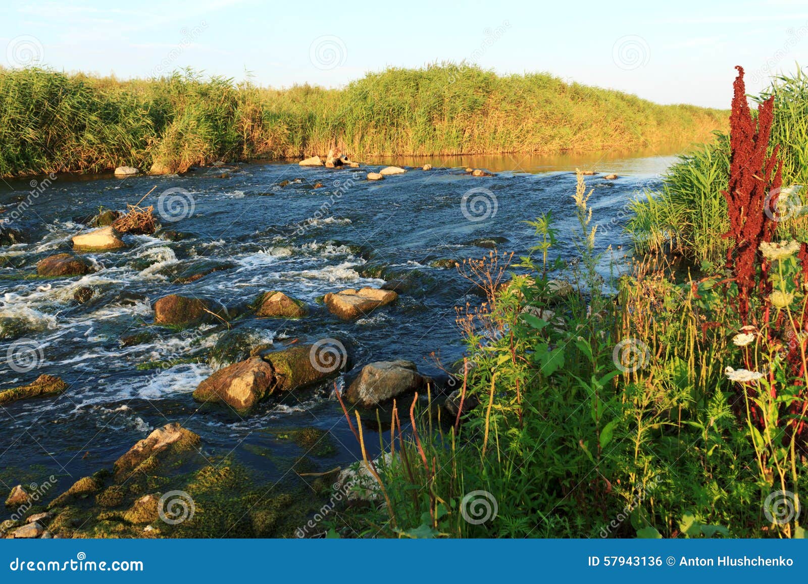 Rushing river stock photo. Image of flowing, rushing - 57943136