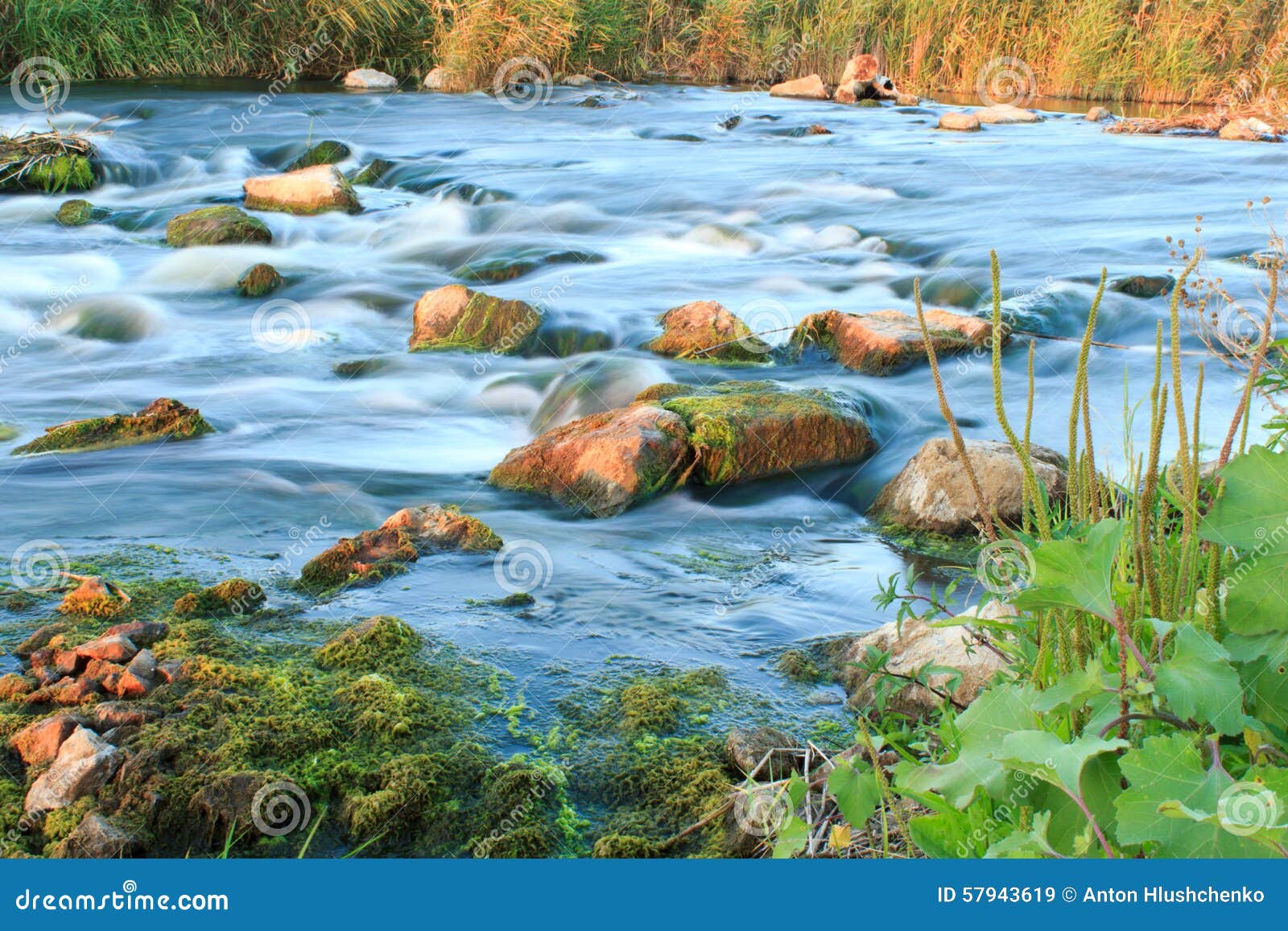 Rushing river stock image. Image of stream, boulder, idyllic - 57943619