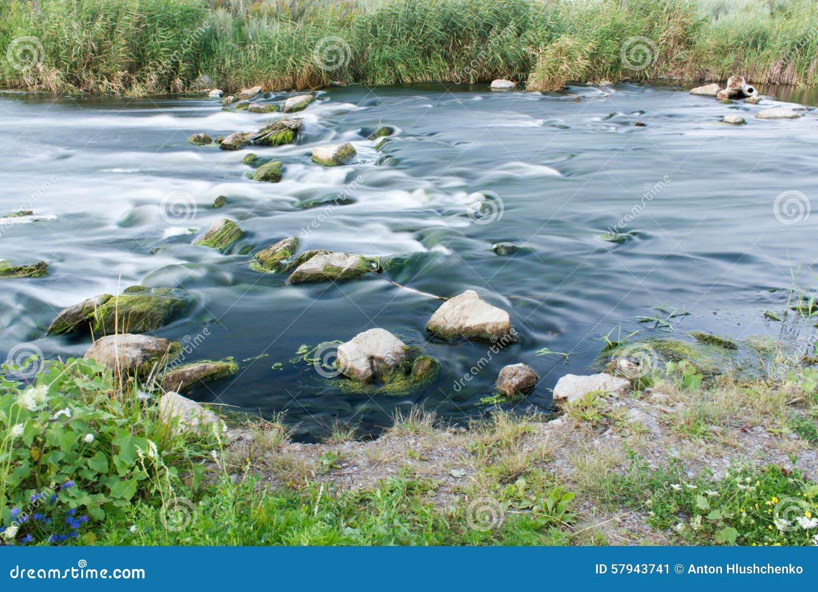 Rushing river stock image. Image of cane, beauty, nature - 57943741