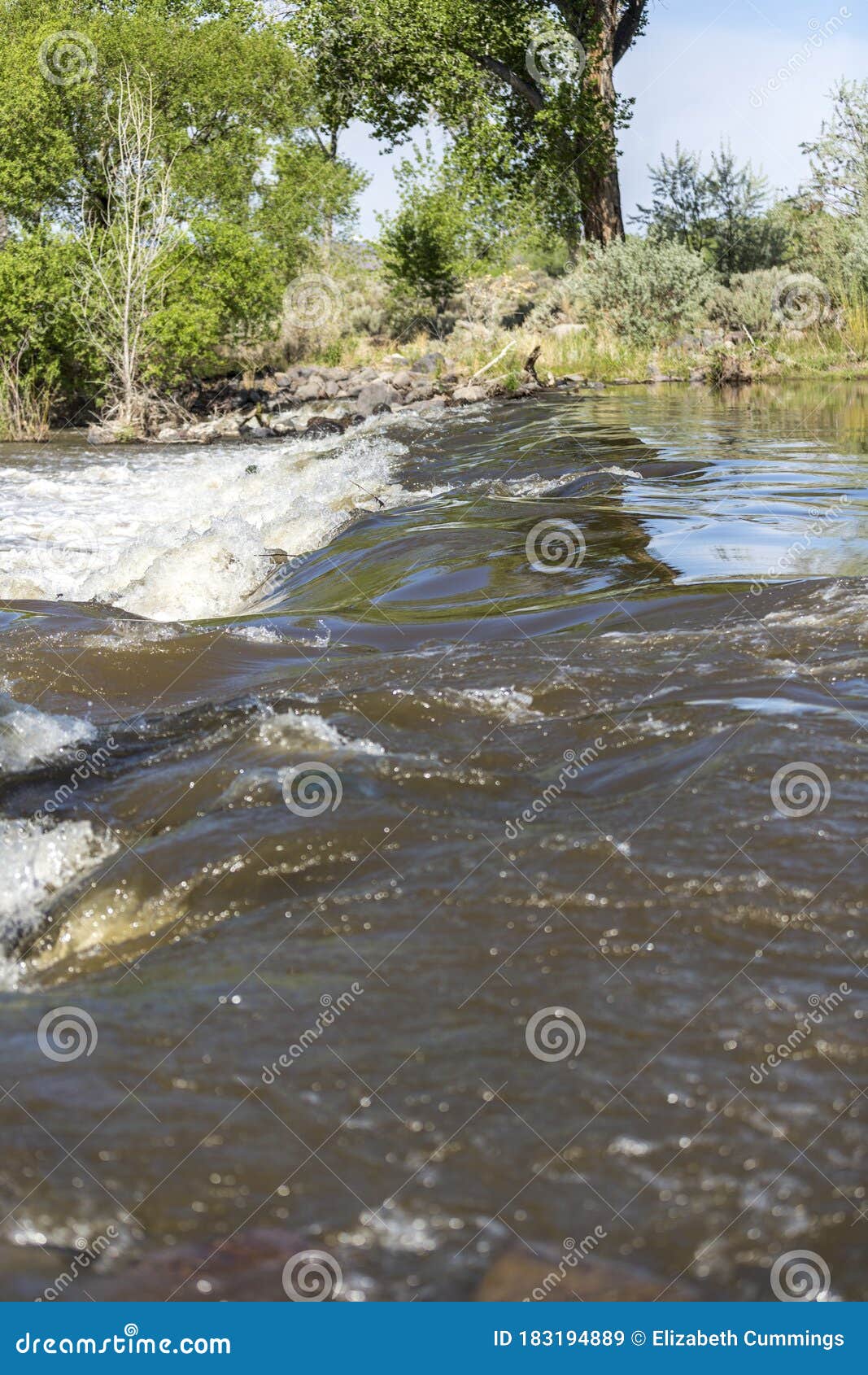 Rushing River Rapids Smooth Flow Over Rocks with Reflections Stock ...