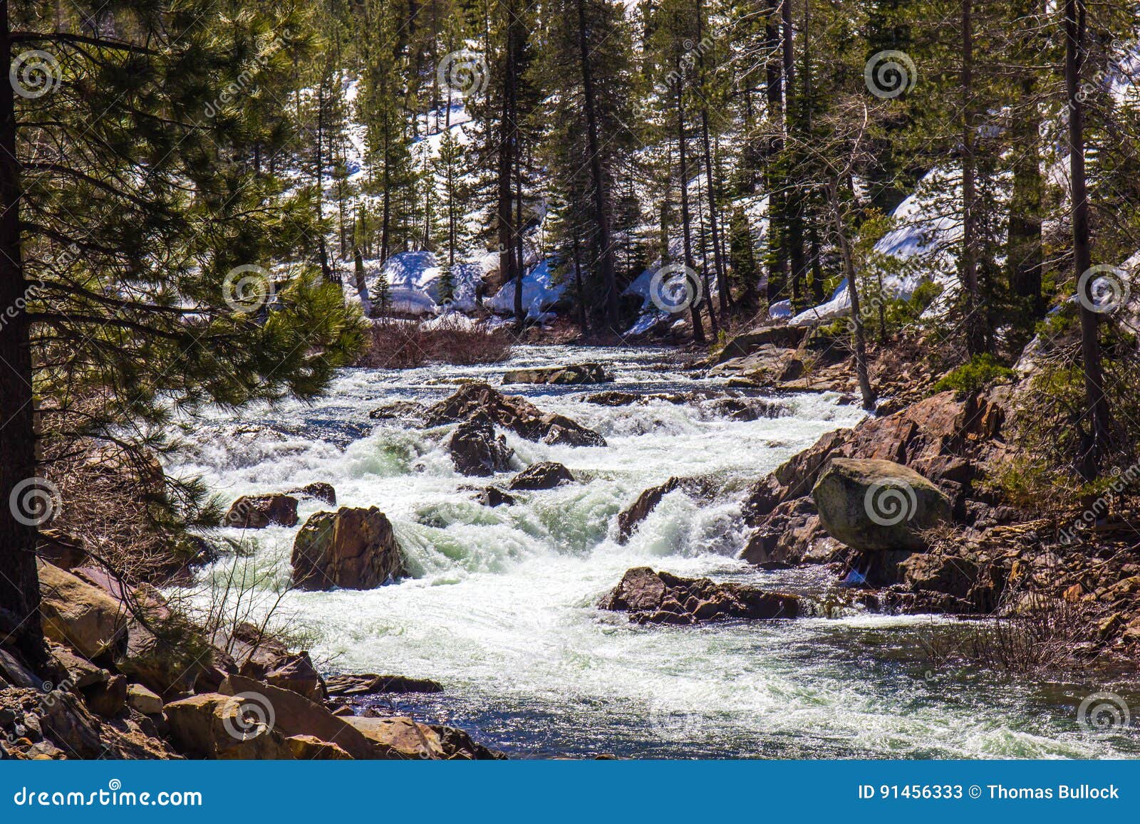 Rushing River from Snow Melt Stock Image - Image of trees, stream: 91456333