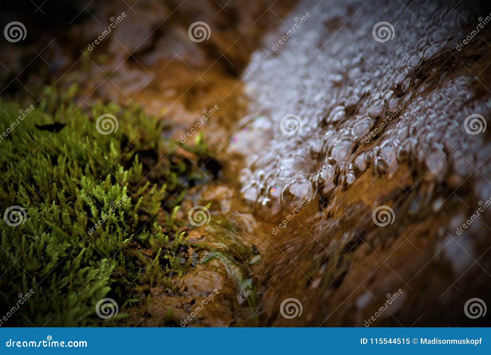 Rushing River Water stock image. Image of burst, droplet - 115544515