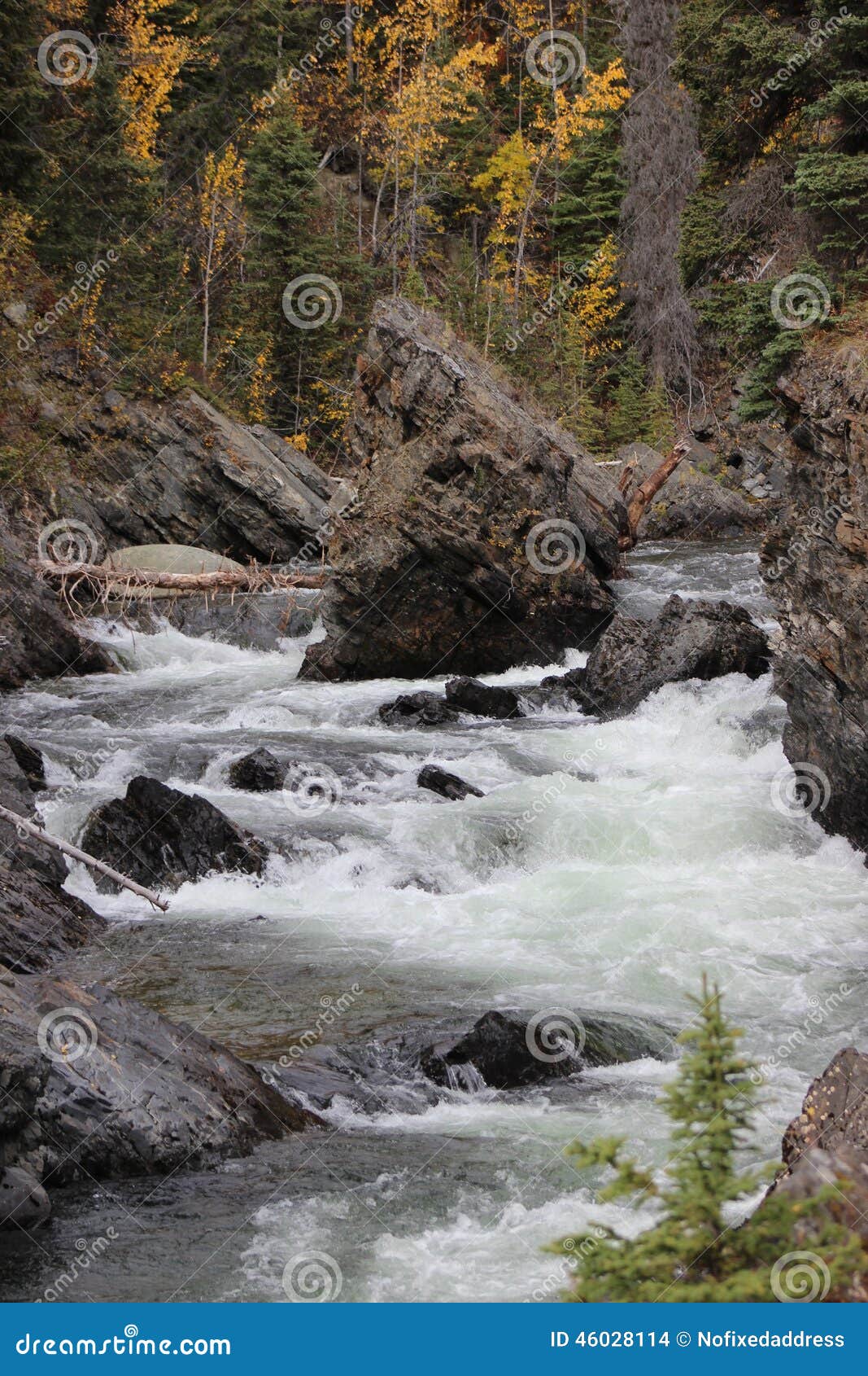 RUSHING ROCKY RIVER in FALL Stock Photo - Image of forrest, flowing ...