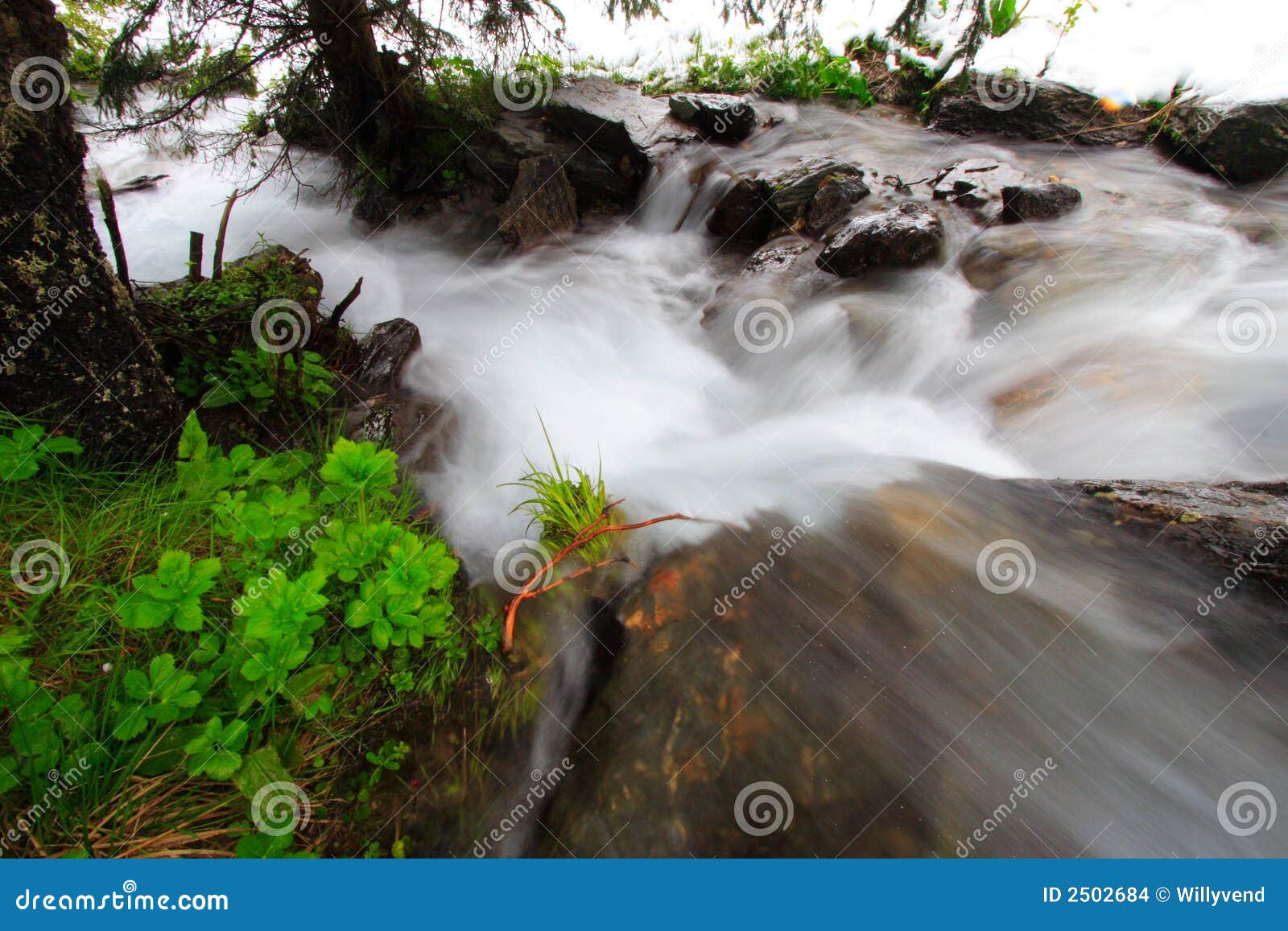 Rushing rocky stream stock photo. Image of splashing, flow - 2502684
