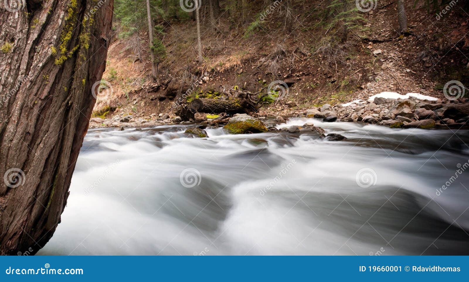 Rushing Stream stock image. Image of moss, creek, mossy - 19660001