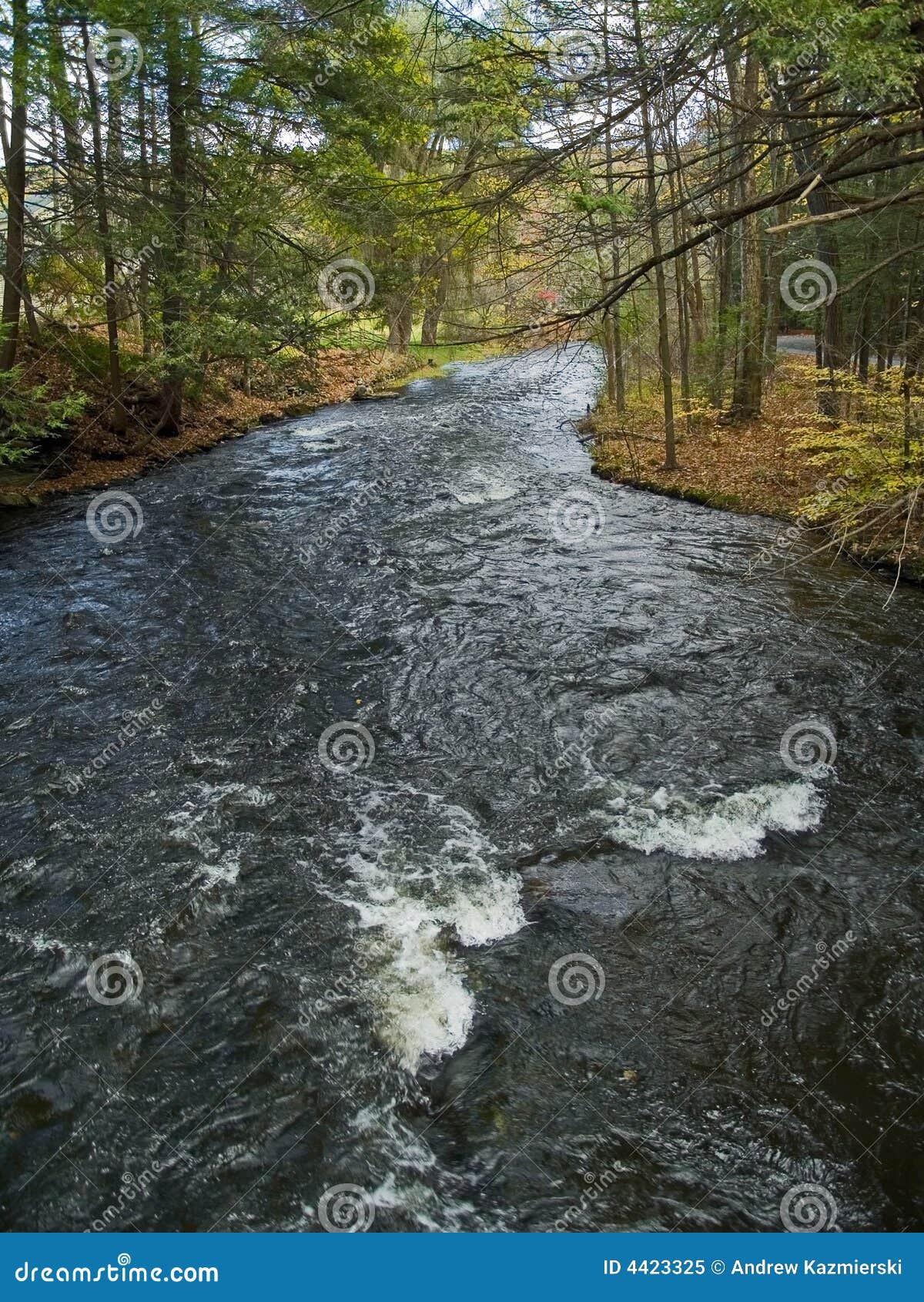 Rushing Stream stock image. Image of seasons, trees, autumn - 4423325
