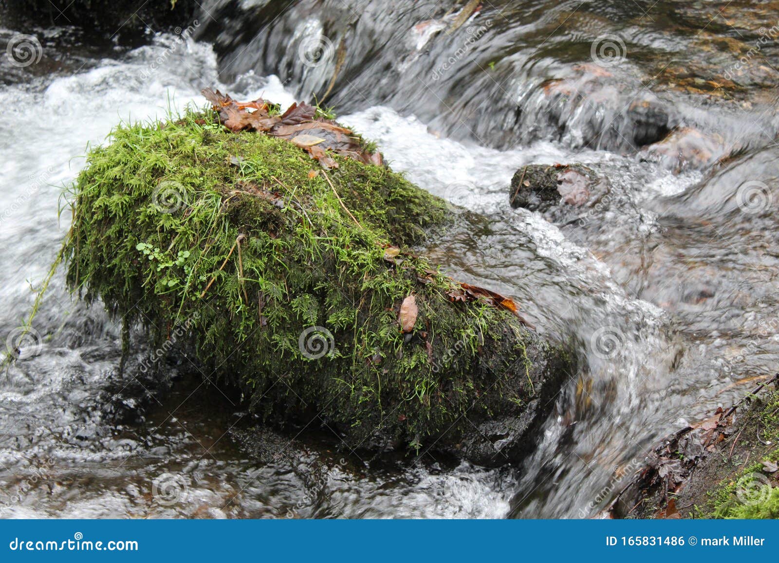 Rushing stream on moorland stock photo. Image of land - 165831486