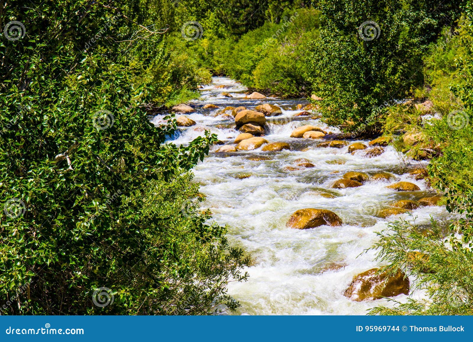 Rushing Stream Over Rocks from Snow Melting Stock Photo - Image of ...